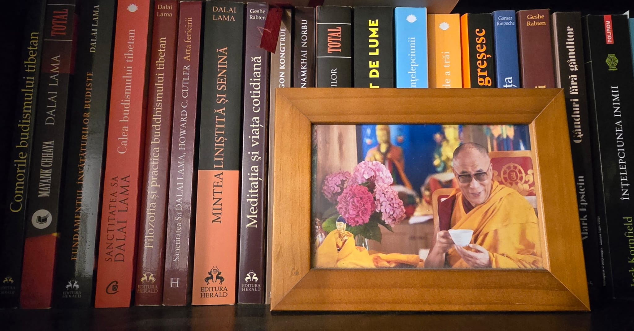 Reading Practice Project – The Garden of Maitreya